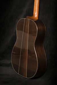 Models Archives | Daryl Perry Guitars